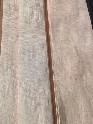 Cina Impiallacciatura di legno dell'acero dell'occhio dell'uccello per la decorazione interna di alta classe in vendita