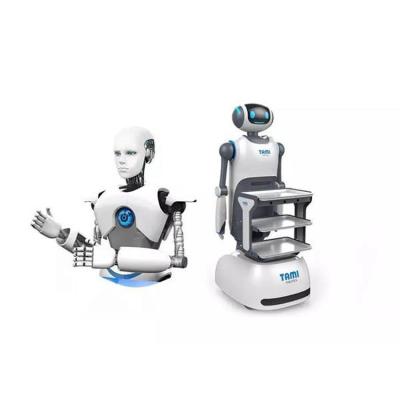 China Van het de Robotprototype van de restaurantmedische behandeling het Systeem Automatische Tolerantie 0.003mm Te koop