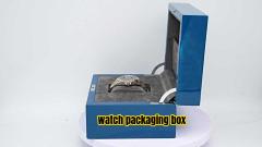 Sophisticated Custom Logo Watch Box, Luxury Protective Packaging for Collectible Watches