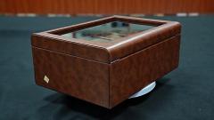 Multifunctional Watch & Jewelry Box - 10-Slot Dual-use Organizer