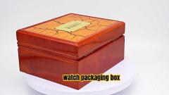 Dust-Proof Watch Display Box, Multi-Functional Timepiece Storage Case for Home Use
