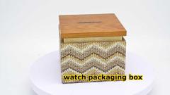 Portable Luxury Watch Box, Shockproof Protective Storage Case for Travel & Daily Use