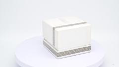 Minimalist Watch Storage Box, Sleek Premium Timepiece Organizer for Daily Home Display