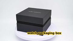 Modern Minimalist Watch Organizer Box