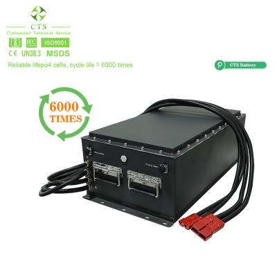 China Lifepo4 Lithium Ion OEM Battery Pack 48V 72V 96V 144V 50ah 80ah 100Ah 150ah With BMS for sale