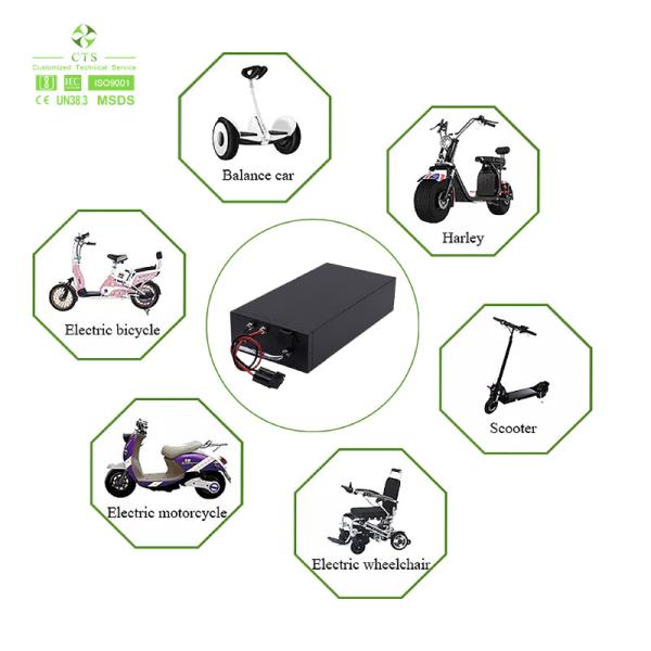 Quality CTS Intelligent BMS Lithium Battery - Custom Capacity & Voltage for E-Bikes for sale