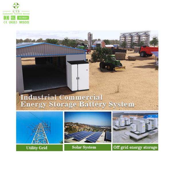 Quality CTS energy storage system container 100kwh 200kwh All in one ESS Lithium Battery for sale