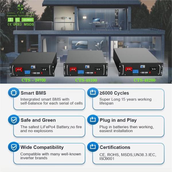 Quality CTS 48v 20kwh Lifepo4 Batteries Solar Battery Storage System For Telecom / Wind for sale