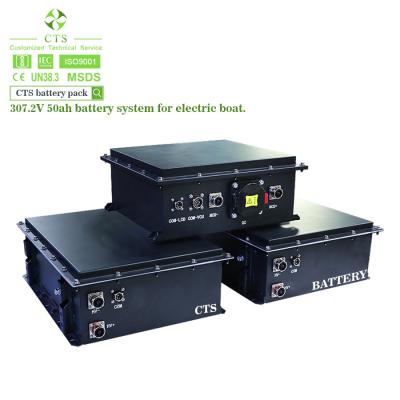 China Rechargeable Lithium Ion Batteries 307.2v 50ah Lifepo4 Battery For Marine Boat for sale