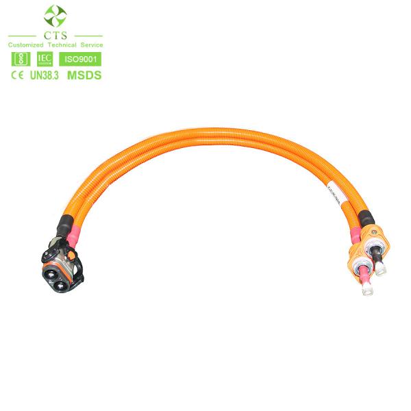Quality CTS Customized OEM ODM Industrial Automobile Car Wire Harness With Connector For for sale