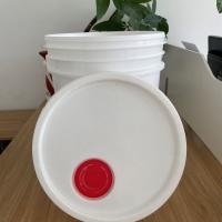 China Tamper Proof 5 Gallon Plastic Buckets with Lid and Handle Essential Storage Solution for sale