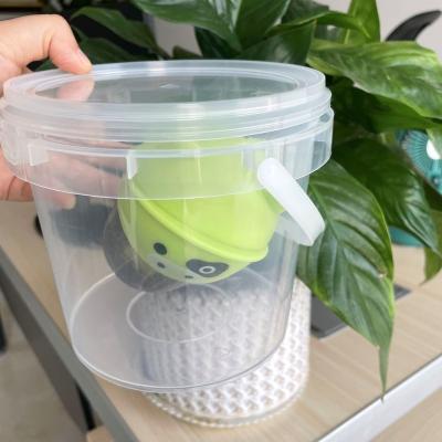China Printing Silk Screen/Heat Transfer/IML 1L-5L Clear Transparent Plastic Bucket with Lid for sale