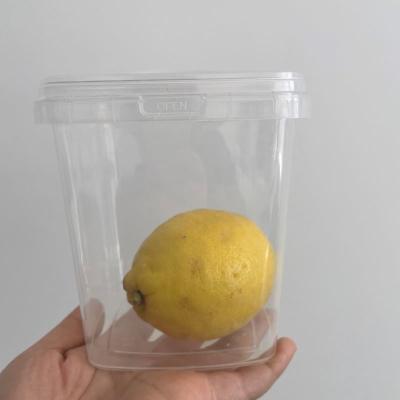 Cina 500 ml contenitore di salsa secchio quadrato secchio bianco stampato con spessore da 1,0 a 2,5 mm in vendita