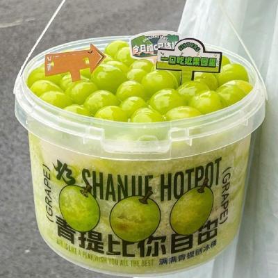 China Fornecer balde de recipiente de plástico de 5L de 300 ml com impressão à venda