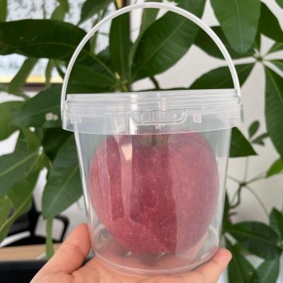 Cina Personalizzare vasche trasparenti con maniglia di plastica e coperchio secchio di plastica in vendita