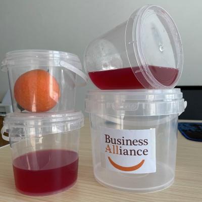 Cina Contenitore di plastica trasparente con coperchio anti-manipolazione in vendita