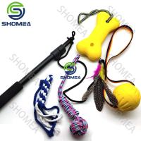 China Custom Wholesale Retractable Metal Stick Cat Teaser with Replaceable Head 13-28mm OD for sale