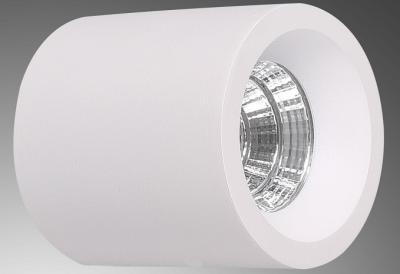 Cina L'annuncio pubblicitario una PANNOCCHIA LED Downlight/superficie da 6 watt ha montato l'Istruzione Autodidattica 80 di Downlights in vendita