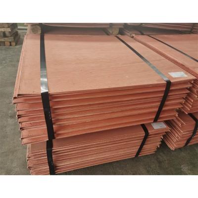 China Copper cathode electrolytic fectory price from chile for sale