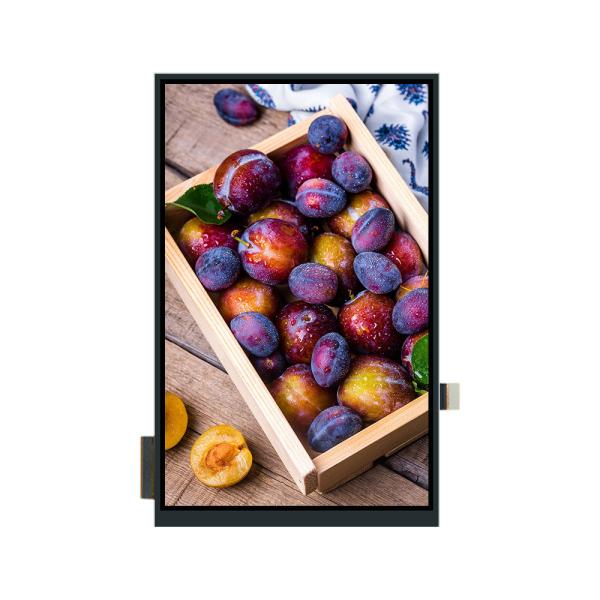 Quality 9 Inch TFT Display 800*1280 MIPI TFT 350 Cd/M2 Driver IC ILI9806E/FT5x06 for sale