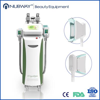 China 2015 high quality factory price cryolipolysis machine for body slimming for sale