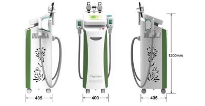 China 2015 wonderful fat reduction 1800w cryolipolysis machine for salon for sale