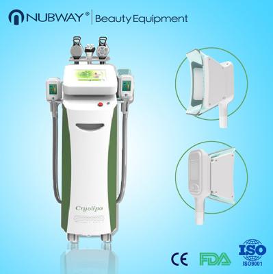 China 2015 suppliers of cryolipolysis slimming machine/cryotherapy cryolipolysis machine for sale