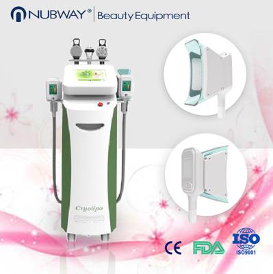 China 1800w big power Cryolipolysis slimming machine fpr best loss weight for sale