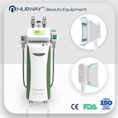 China New Arrival cryolipolysis freezing fat beauty machine/rf cavitation cryolipolysis slim for sale