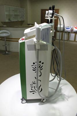 China 2015 hot selling cryo 5 handles fat freeze machine_cryotherapy cryolipolysis machine for sale
