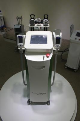 China 5 handles Fat Reduction Cryotherapy Body/Cryolipolysis Slimming Machine for sale