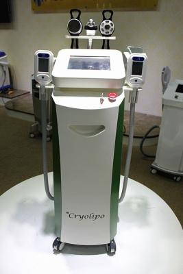 China cryolipolysis fat freeze slimming machine/cryolipoloysis slimming/cryolipolysis for sale