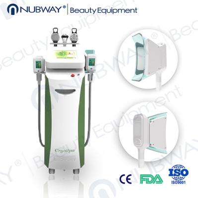 China cryolipolysis fat freeze equipment / cryolipolysis slimming machine / fat freezing machine for sale