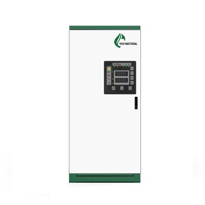 Cina YouNatural Energy Storage Cabinet ESS 30kW 55kWh Cabinet Bess Batteria solare Sistema di accumulo di energia in vendita