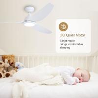 Quality 56 Inch Silent Ceiling Fan with DC Motor and Lighting for sale