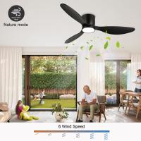 China White Black Gold 52 Ceiling Fan With Energy Saving Function for sale