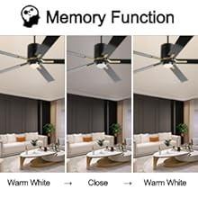 Quality White DC Motor Quiet Blade Ceiling Fan Light 72 Inches With 3 Color Changing for sale