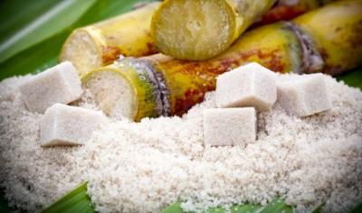 中国 食品工業の乾式法の注文の標準の基本的な概念 販売のため