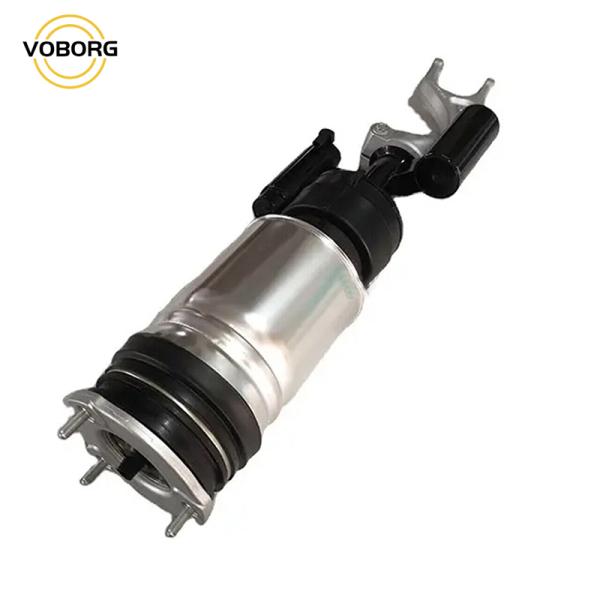 Quality High Quality Car Suspension Parts Front Shock Absorber Assembly for 1420361-00-C 1620366-00-D Tesla Auto for sale