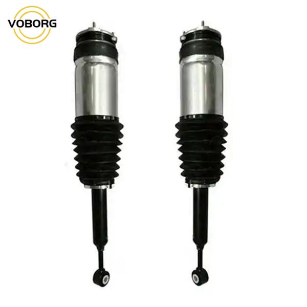Quality Direct Wholesale Good Quality 1027461-00-G 1027461-00-E Auto System Air Suspension Shock Absorber for sale