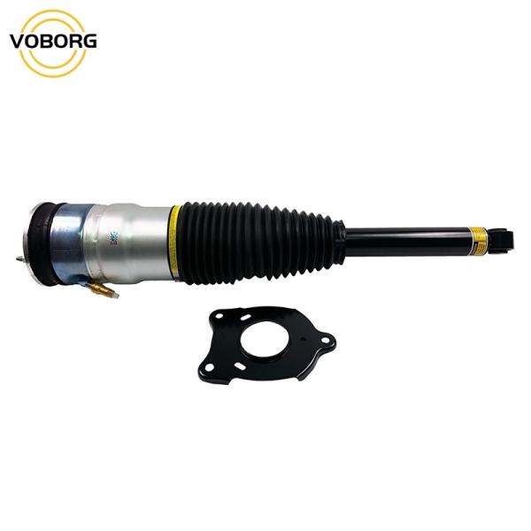 Quality High Performance Shock Absorber Rear Left and Right Auto Parts for Tesla Model S 2011-2015 for sale