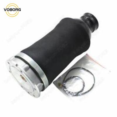 China Hot Sell Rear Air Suspension Shock Absorber Reart Left and Right Shock Absorbers for Audi Auto Parts for sale