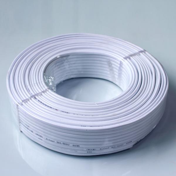 Low Voltage 2*1.0mm2 Electrical Submarine Power Cable for Power Plant System