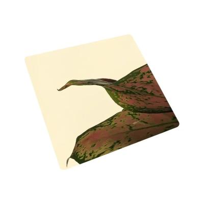 Cina 0.3mm-6.0mm Hot rolled Thickness Steel Sheet  by Professional Manufacturer in vendita
