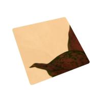 China 2B BA Surface 1000mm-2000mm Width Mill Edge 304 316 Steel Sheet for sale