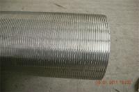 China Aisi 304 ID 116mm Johnson Wire Screen Replaceable Filter Element 0.1mm Slot for sale