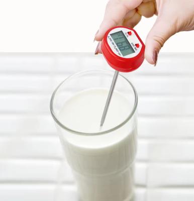 China C/F Switching Function Instant Read Digital Thermometer Protective Sheath Included for sale