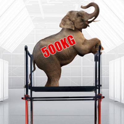 China 2024 New Electric Mobile Scaffolding  Construction Site Use for sale