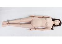 China Full Length Preoperative Aseptic Manipulation Simulation Manikin PVC Medical Training Model 180cm for sale