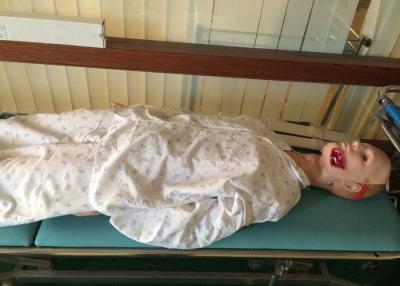 China De standaard Externe Bevestiging Mannequins van de Opleidingseerste hulp met Lidmaatbreuk Te koop